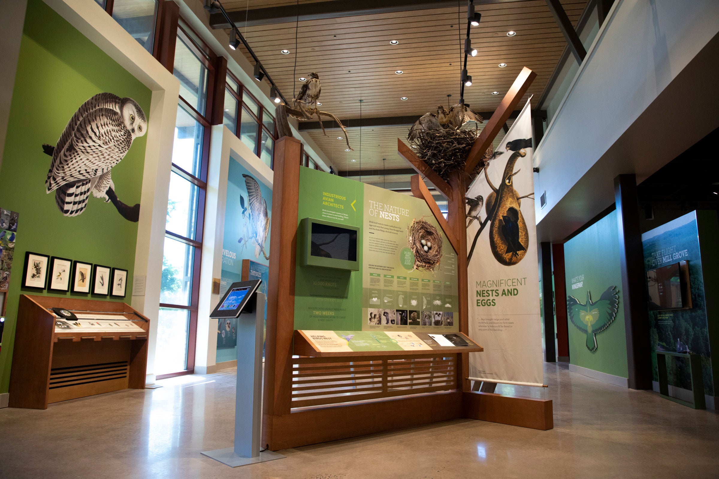 John James Audubon Center Opens at Historic Mill Grove | Audubon