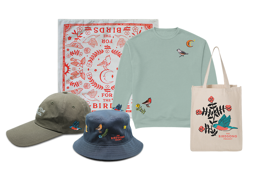 For the Birds: The Birdsong Project | Audubon