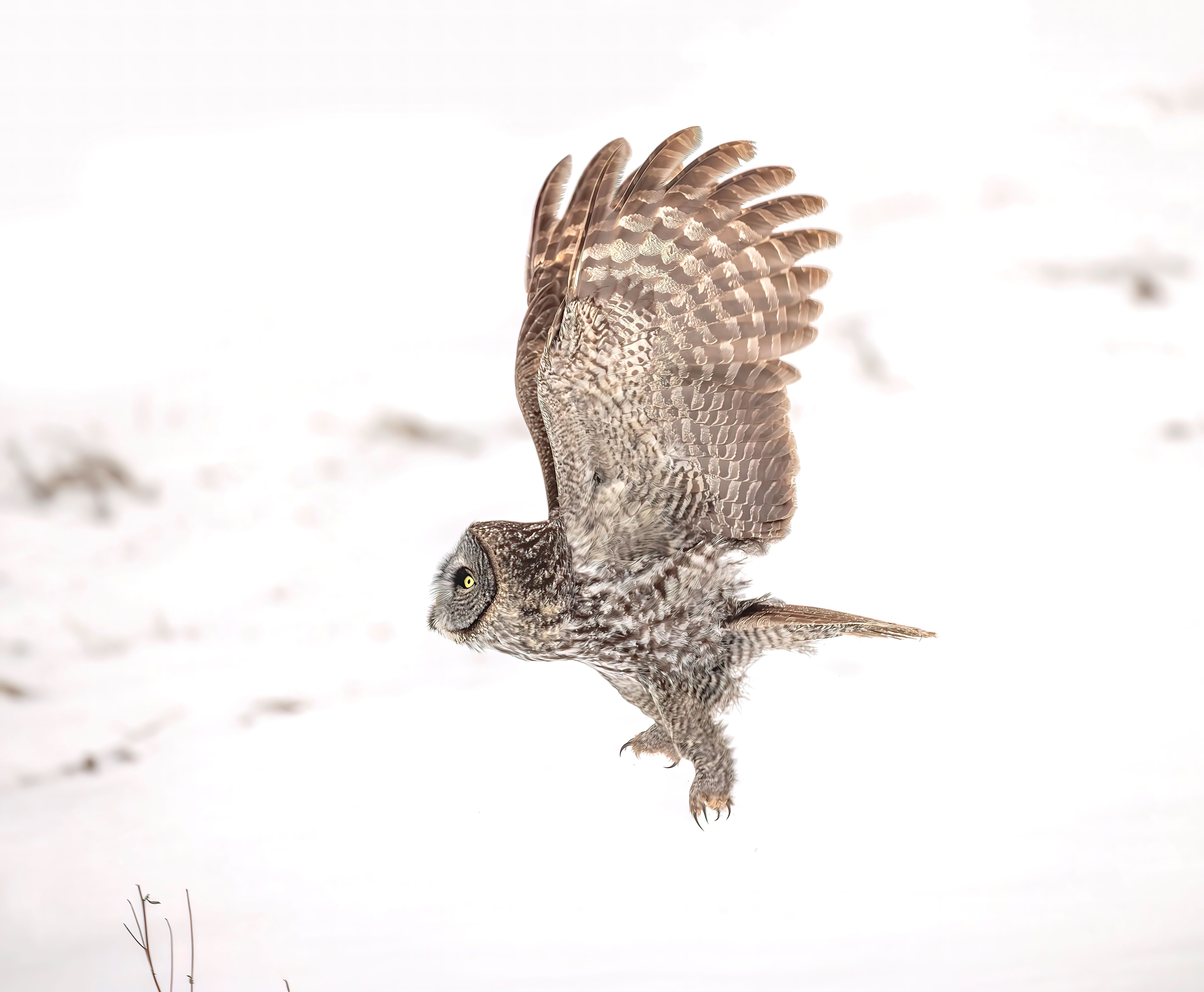 New Documentary Will Showcase the Atlantic Flyway | Audubon