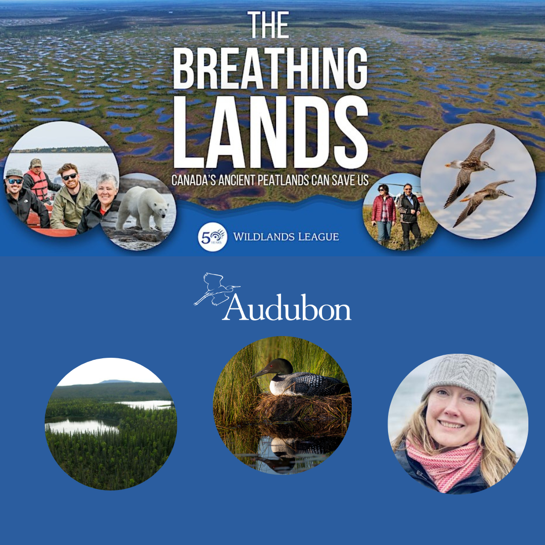 The Breathing Lands - Canada’s Ancient Peatlands Can Save Us | Audubon