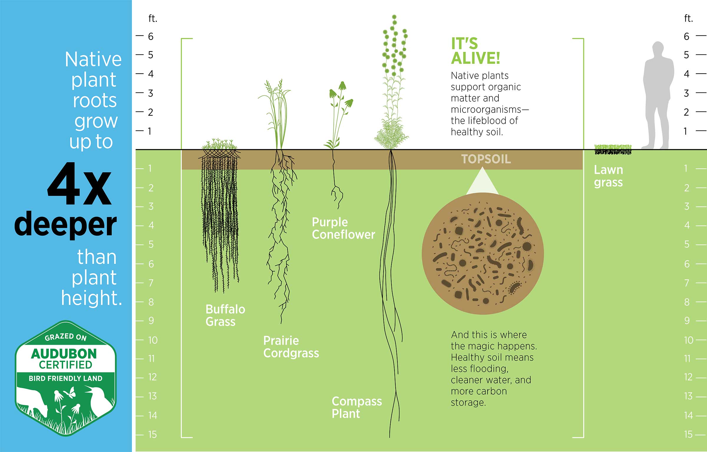 Diggin’ Deeper into the Underworld of Grasslands | Audubon