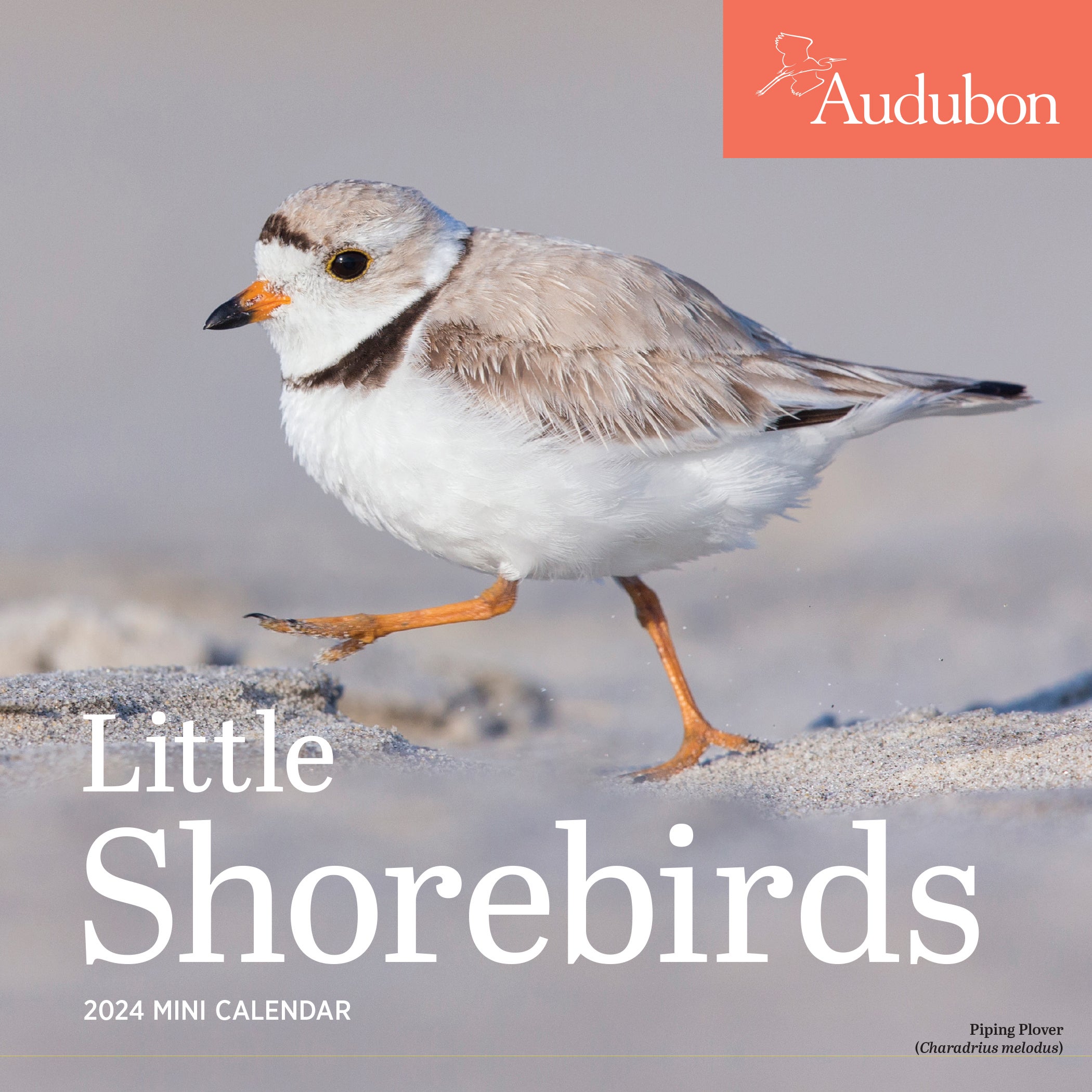 Audubon Calendars | Audubon