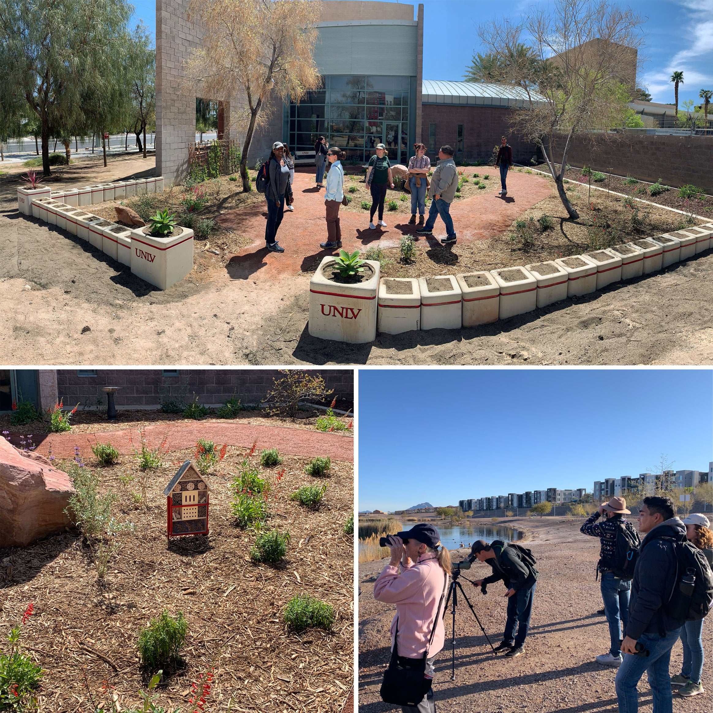 College Campuses Across the Country Are Getting a Little More Bird ...