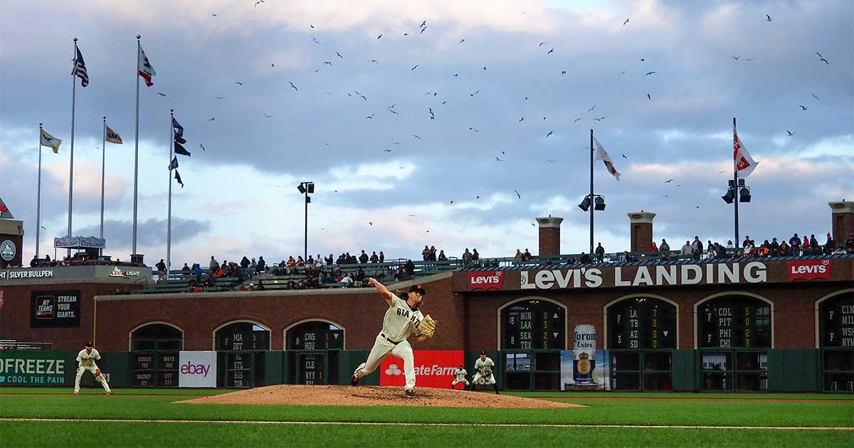 Why Baseball and Birding Go Together Like Peanuts and Cracker Jacks ...