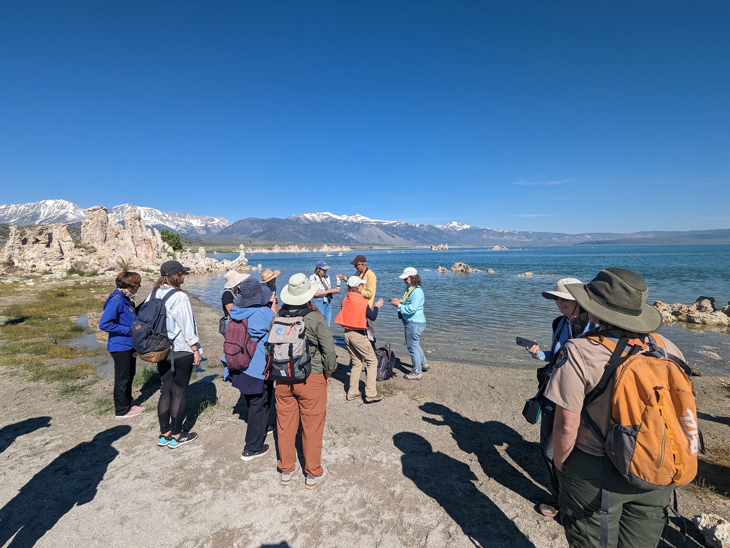 Wilson’s Phalaropes and their Journey from Canada to Argentina | Audubon