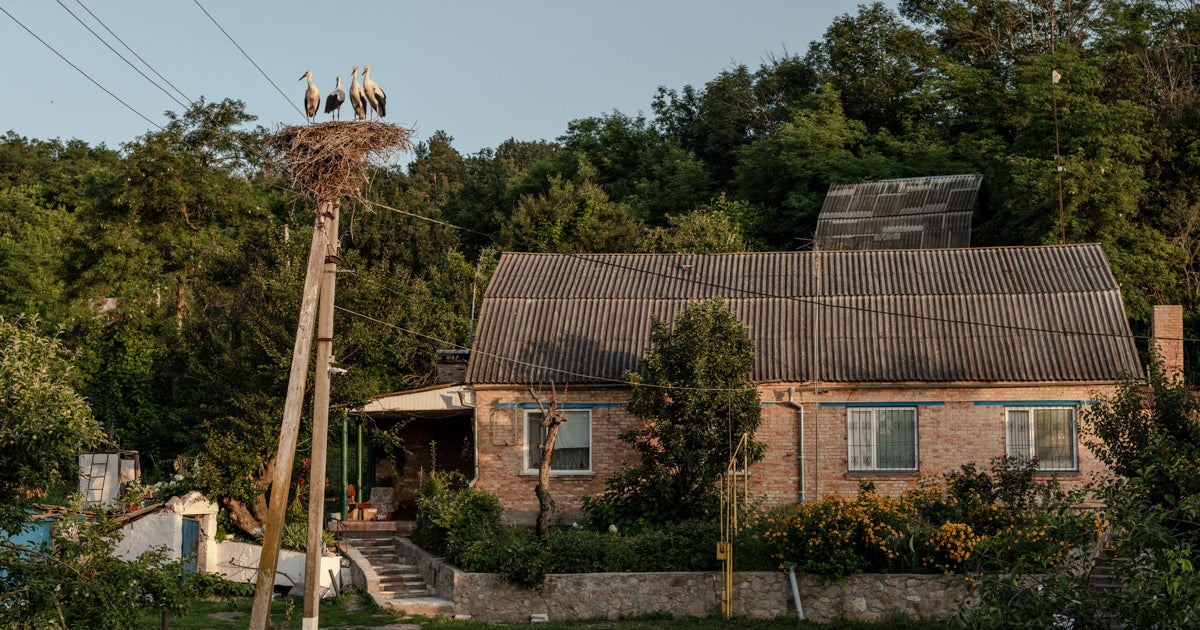 How the War in Ukraine Takes a Devastating Toll on Nature | Audubon