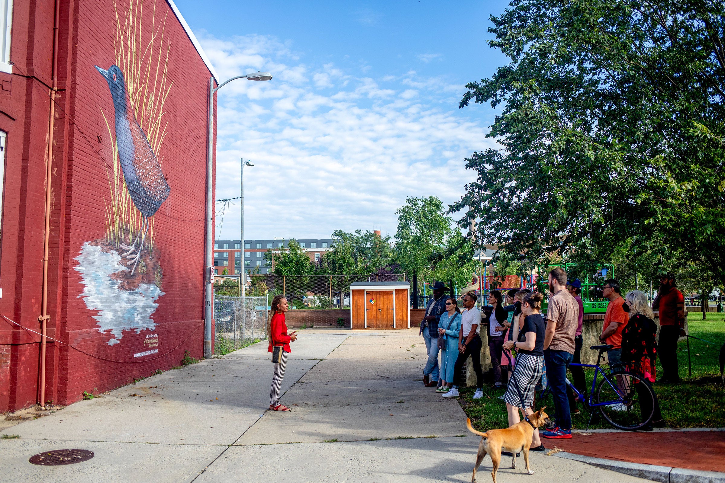 A Bird Comes out of Hiding to Mark the Anniversary of the Endangered Species Act | Audubon