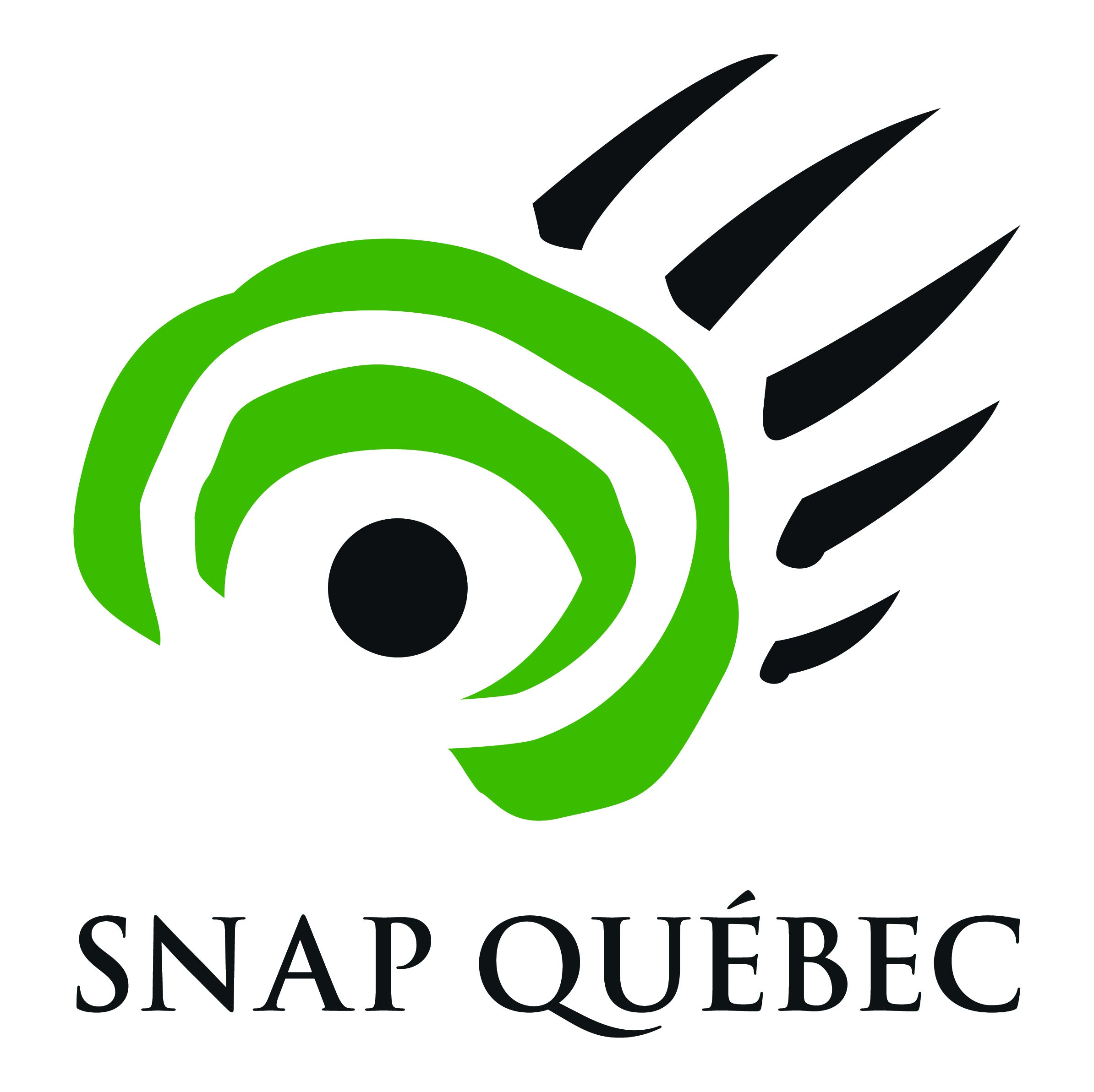 Hundreds of Thousands of Boreal Birds Traveled Through the Tadoussac Dunes | Audubon