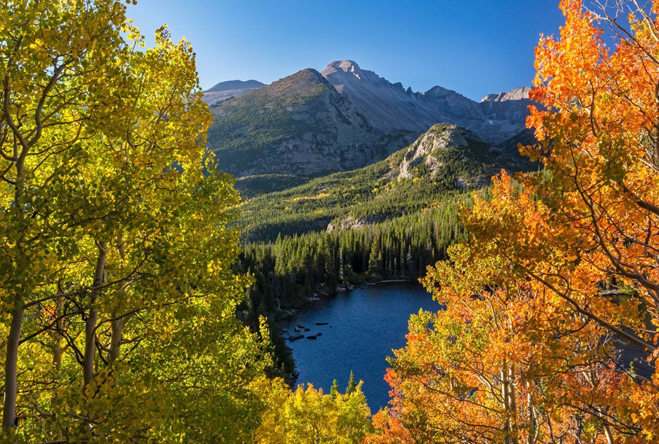 On Our Flight Path | Audubon