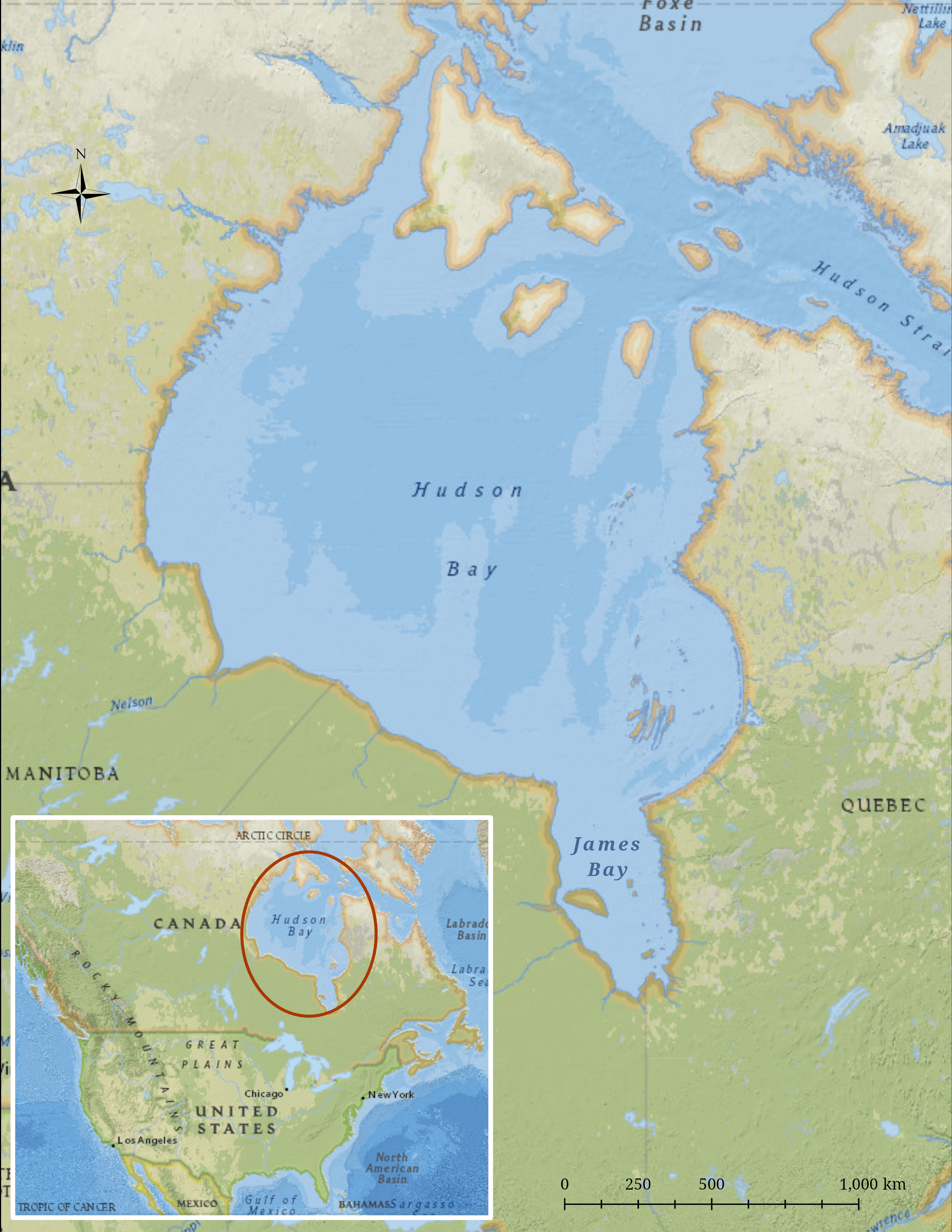 The Wonder of Boreal Wetlands | Audubon