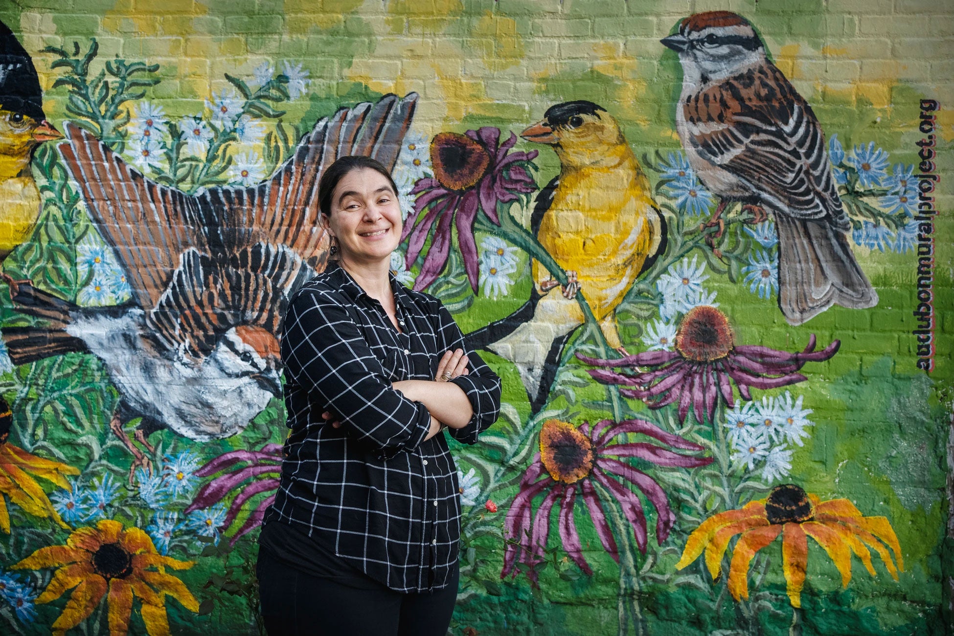 American Goldfinch and Chipping Sparrow by Gloria Adams | Audubon