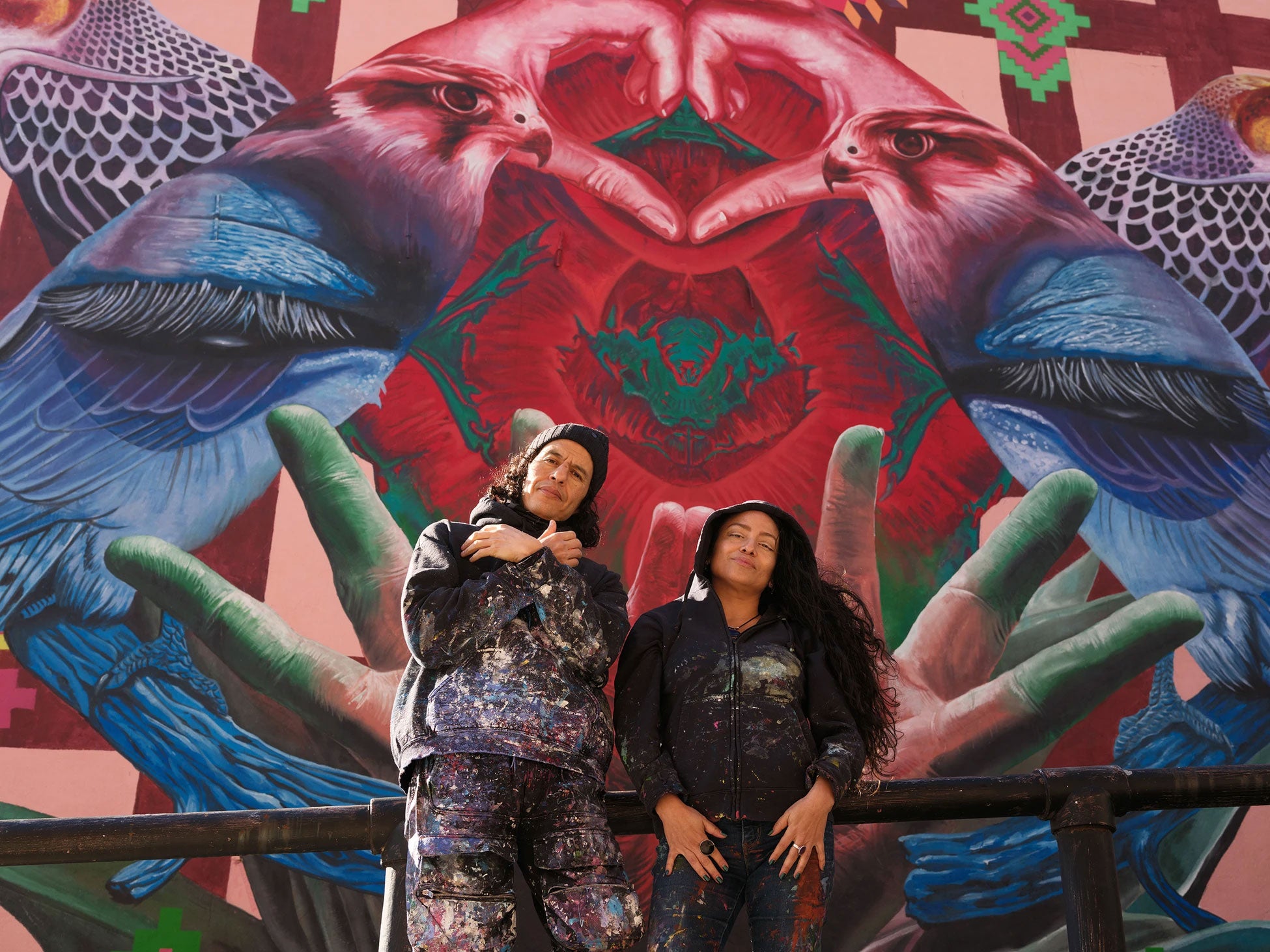 Aplomado Falcon by Werc and Geraluz | Audubon