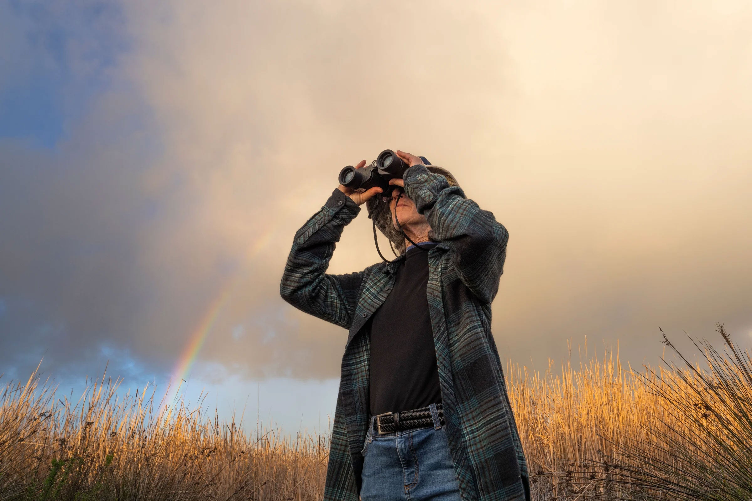 Building Anew Along the Shores of San Diego County | Audubon