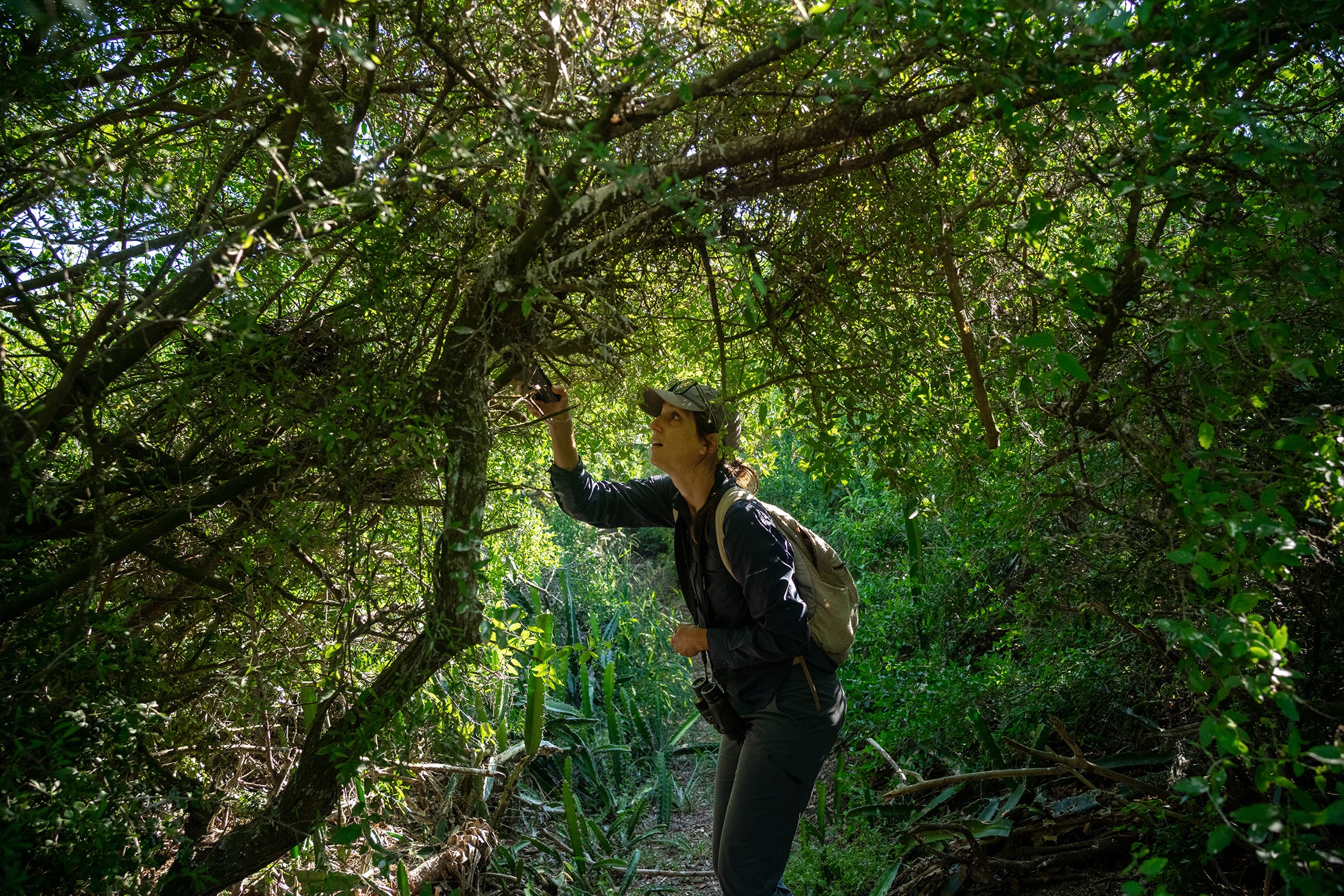 Welcome to the Island Where Egrets Rule | Audubon