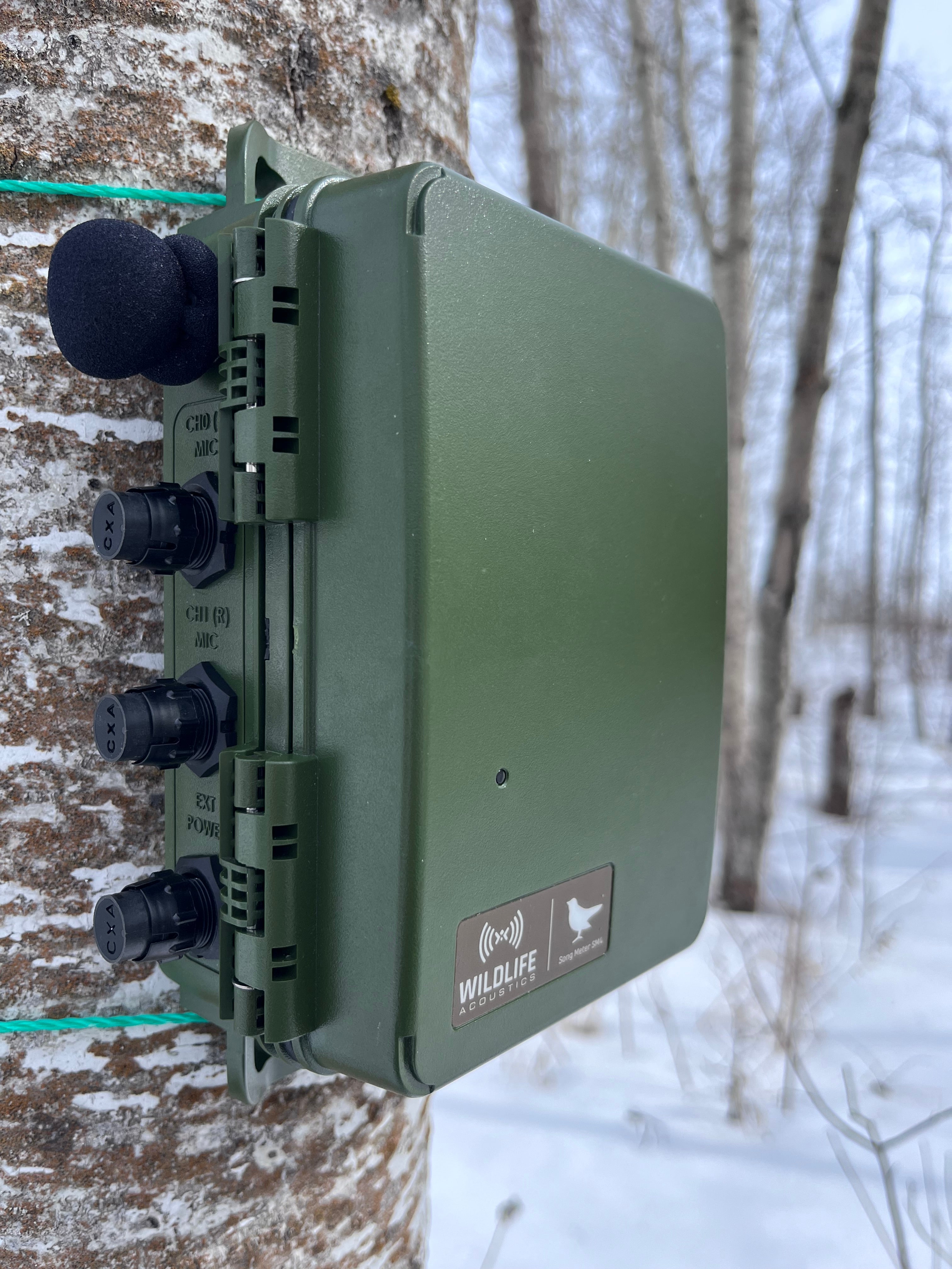 Bird Recorder Project Will Support Education and Conservation in Fisher ...