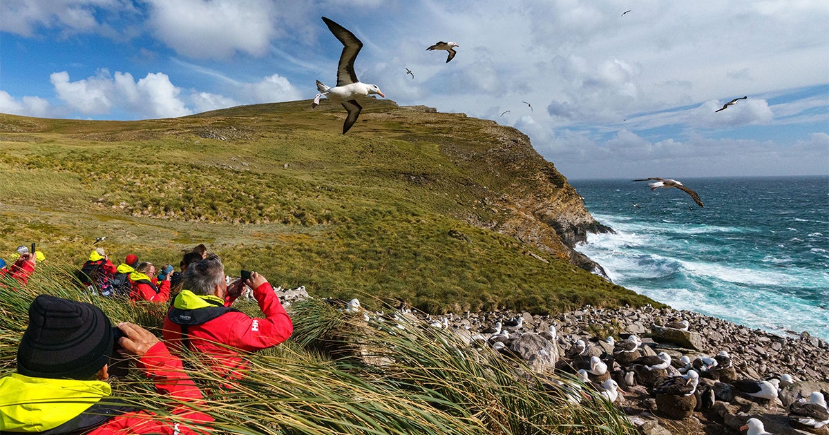 Embark on Audubon Voyages with HX | Audubon