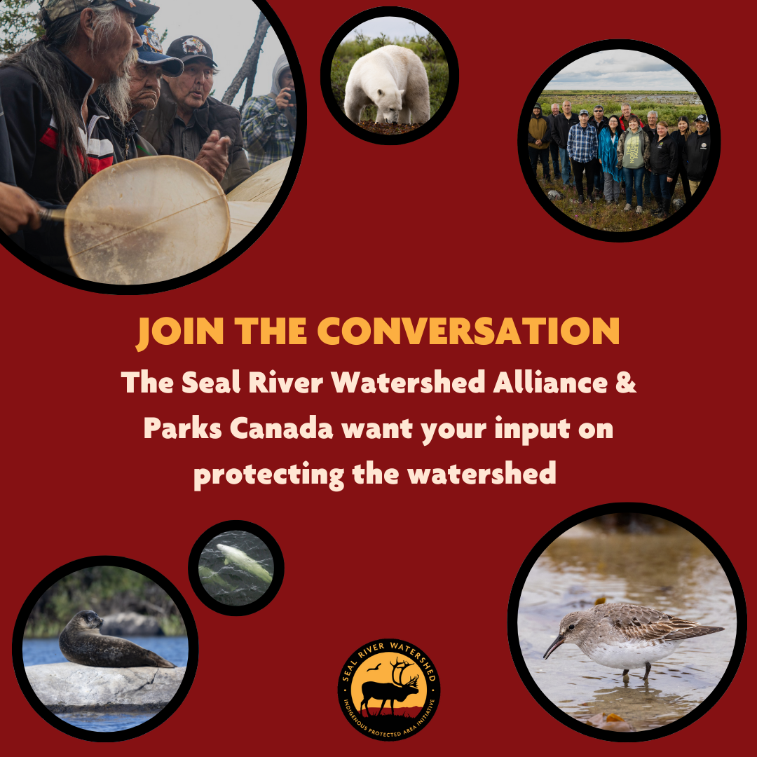 One of the World's Largest Remaining Intact Watersheds Needs Your Help ...
