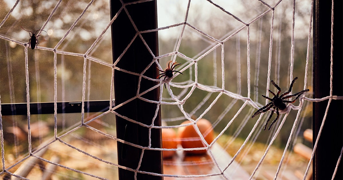 How to Have a Bird-Friendly Halloween | Audubon