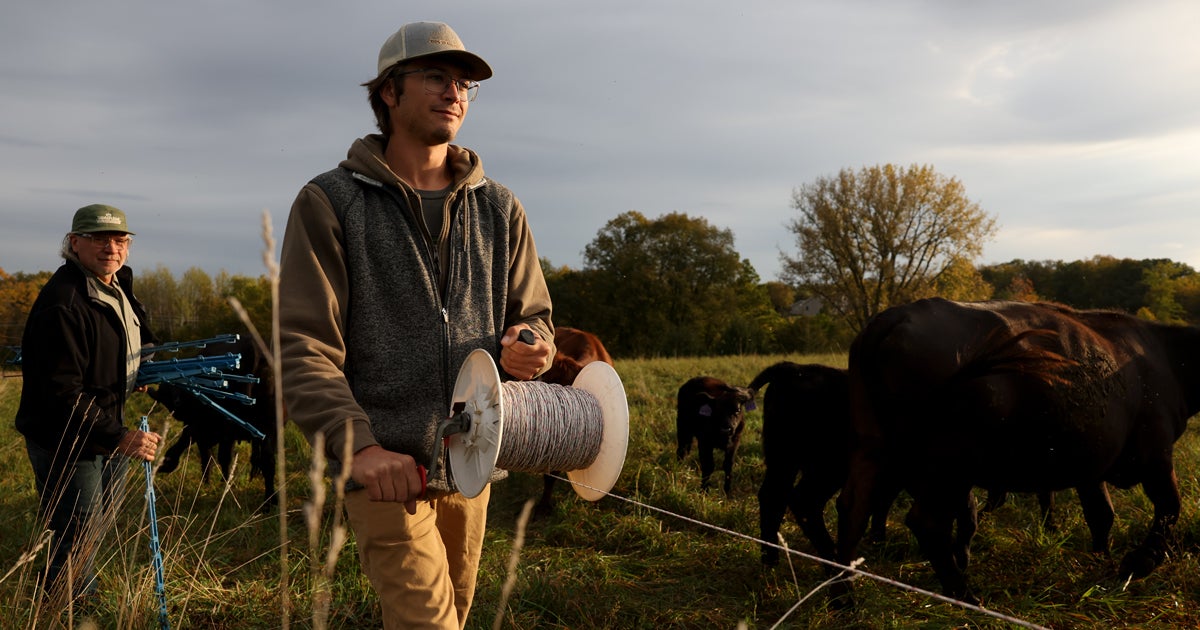 To Grow Grassland Habitat, Conservationists Try a New Incentive: Cash ...