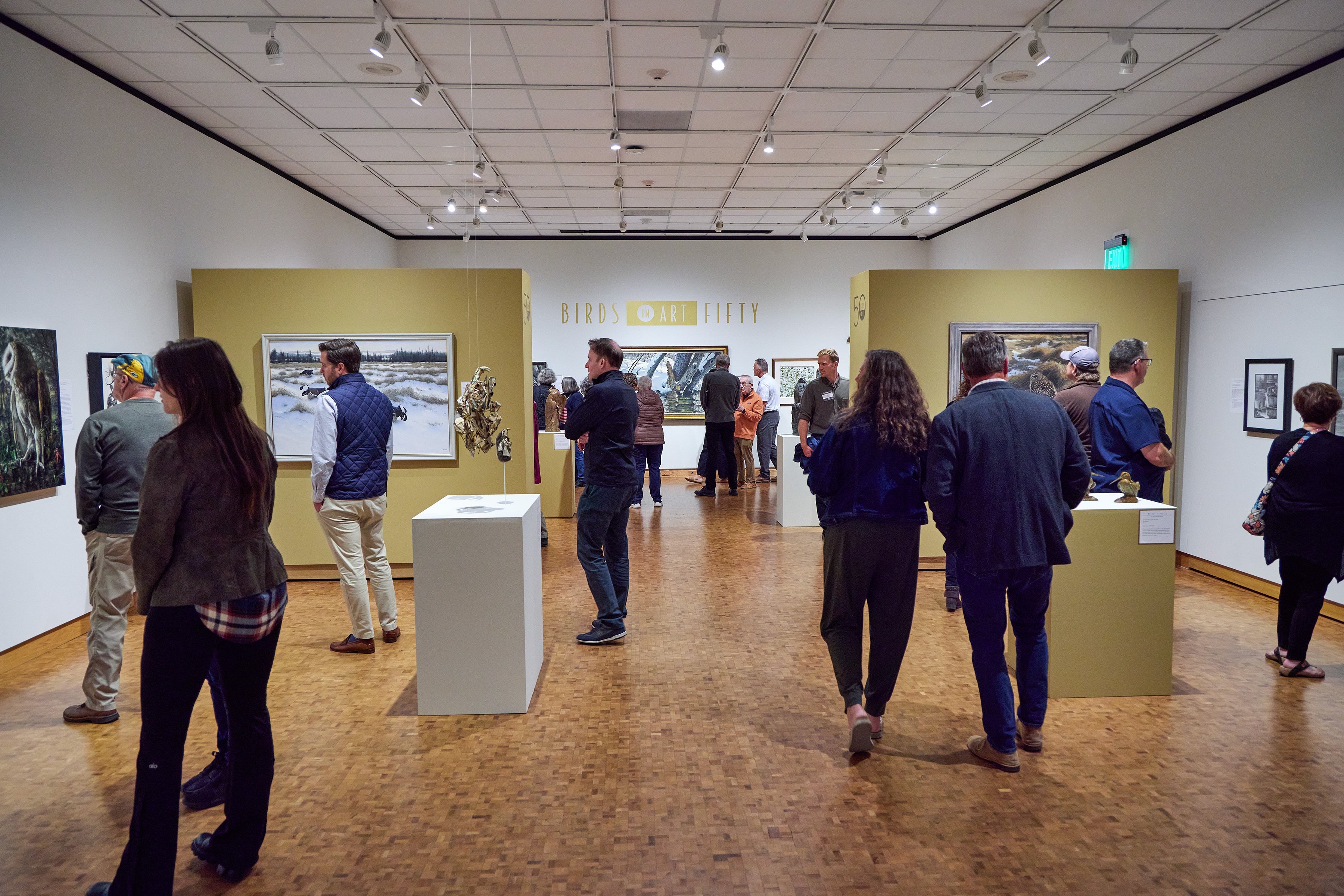 Every Year This Wisconsin Museum Hosts the Best Modern Bird Art in the ...