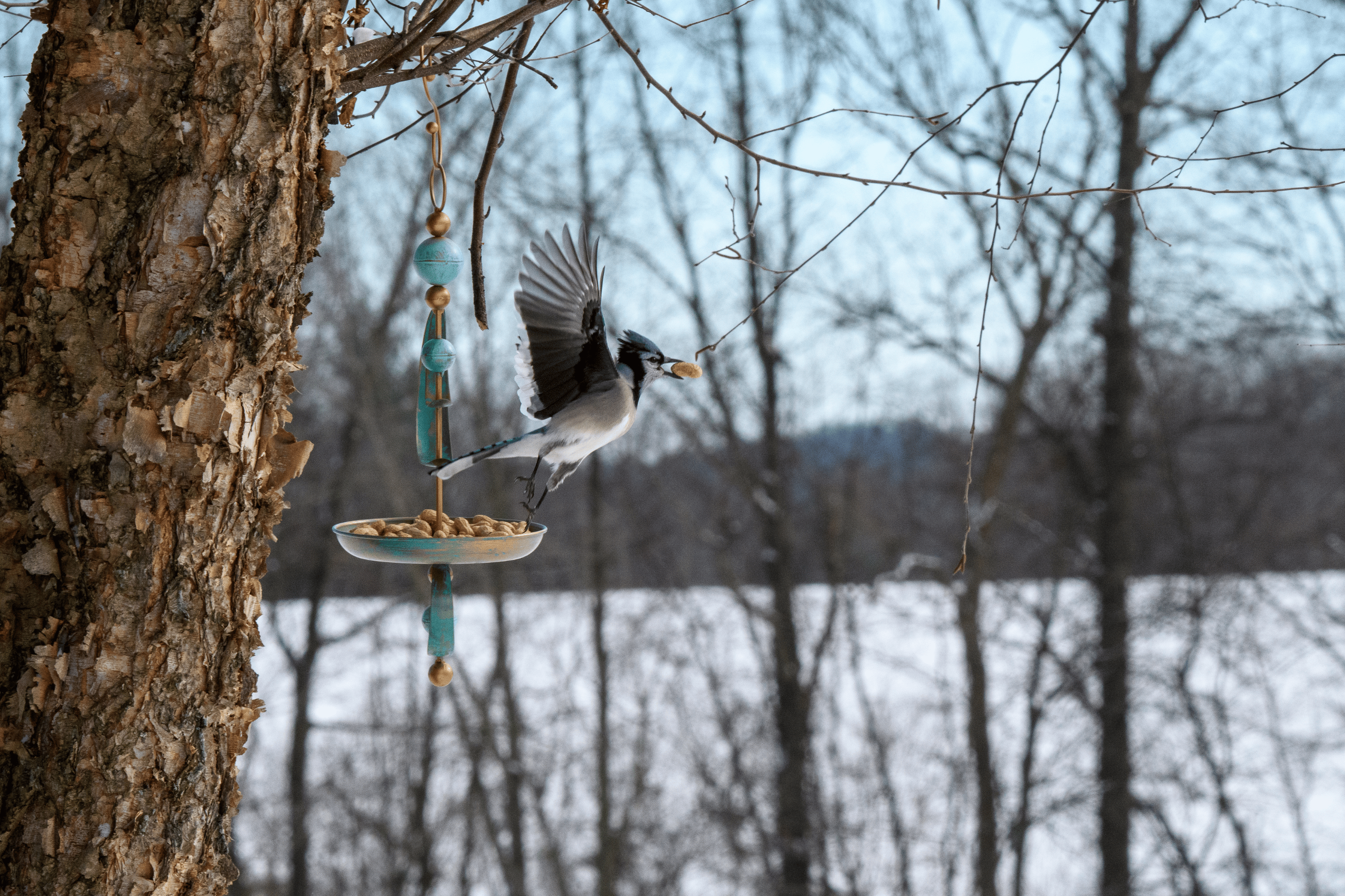 Explore Sharon Audubon Center | Audubon