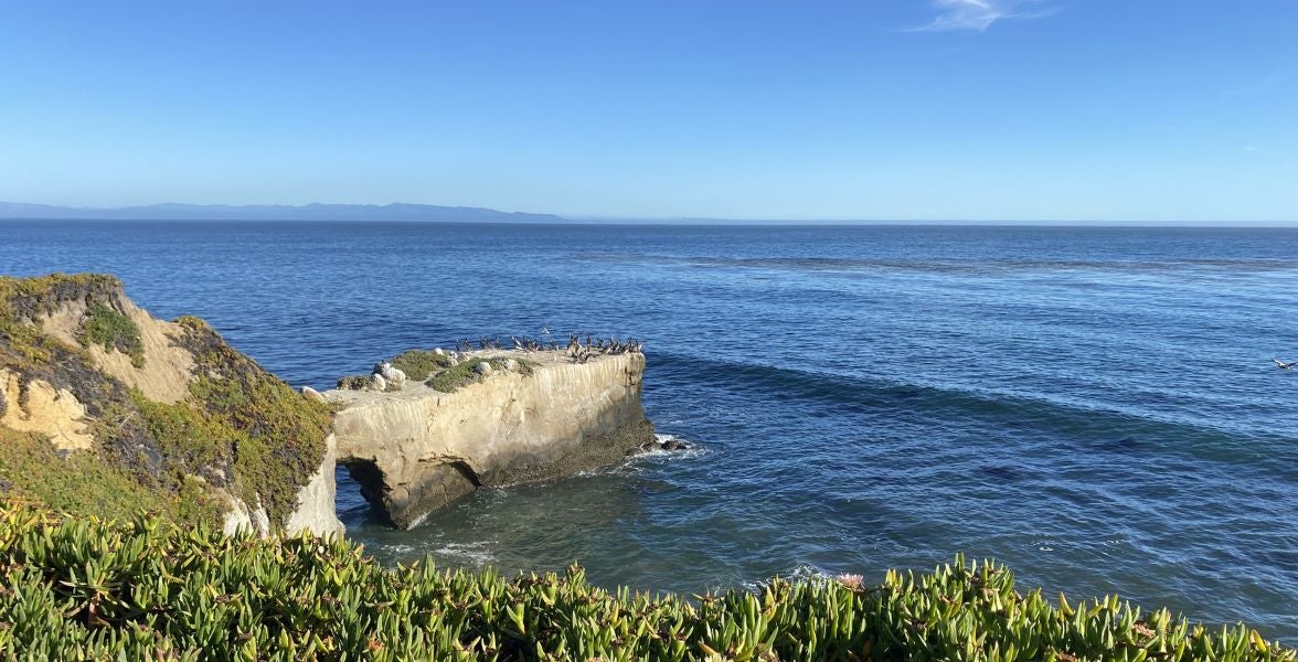 Protecting Birds in a Changing Ocean: How California Marine IBAs Can ...