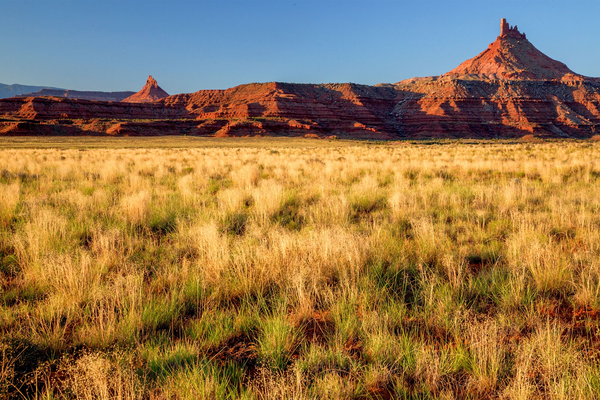 In a Historic Move, Biden Picks Haaland as First Native American ...