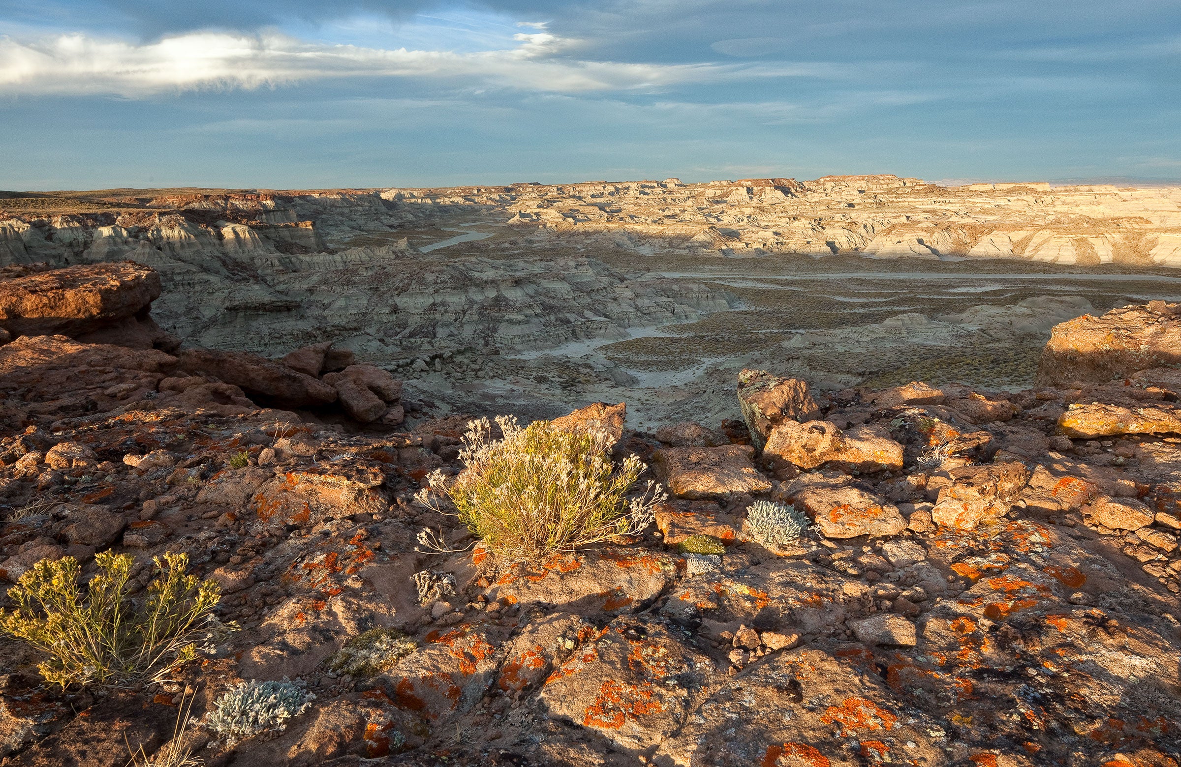 Paleontology and Private Fossil Collecting Can Be at Odds in the Hills ...