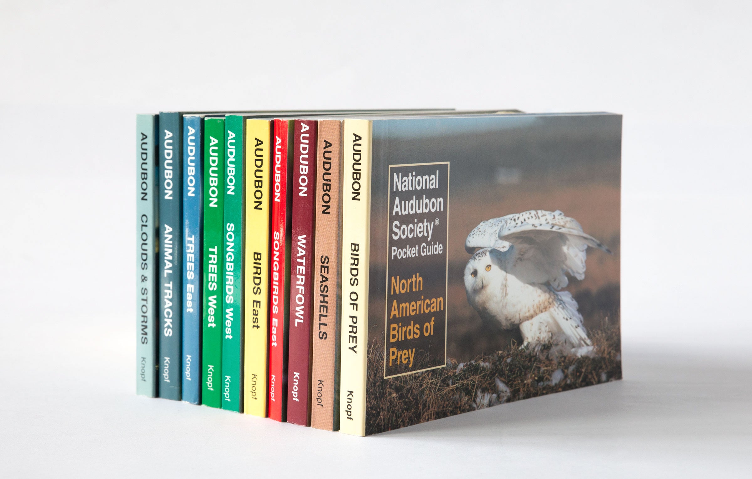 Audubon Pocket Guides | Audubon