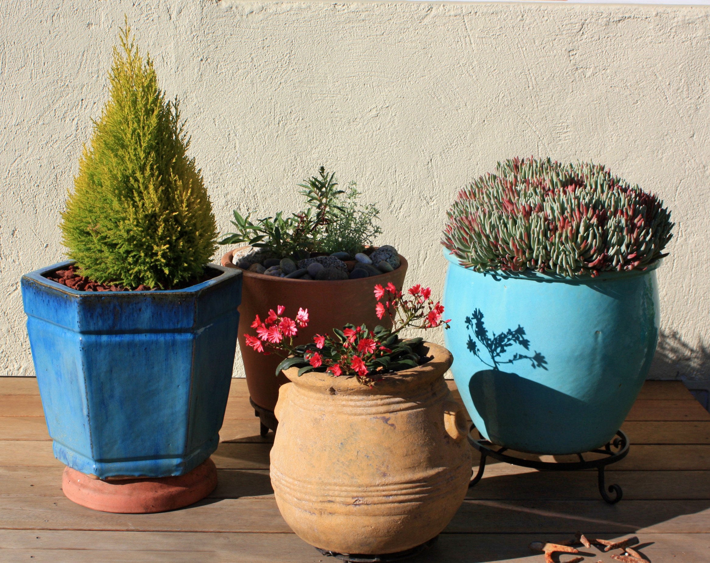 How to Make Your Yard Bird-Friendly | Audubon