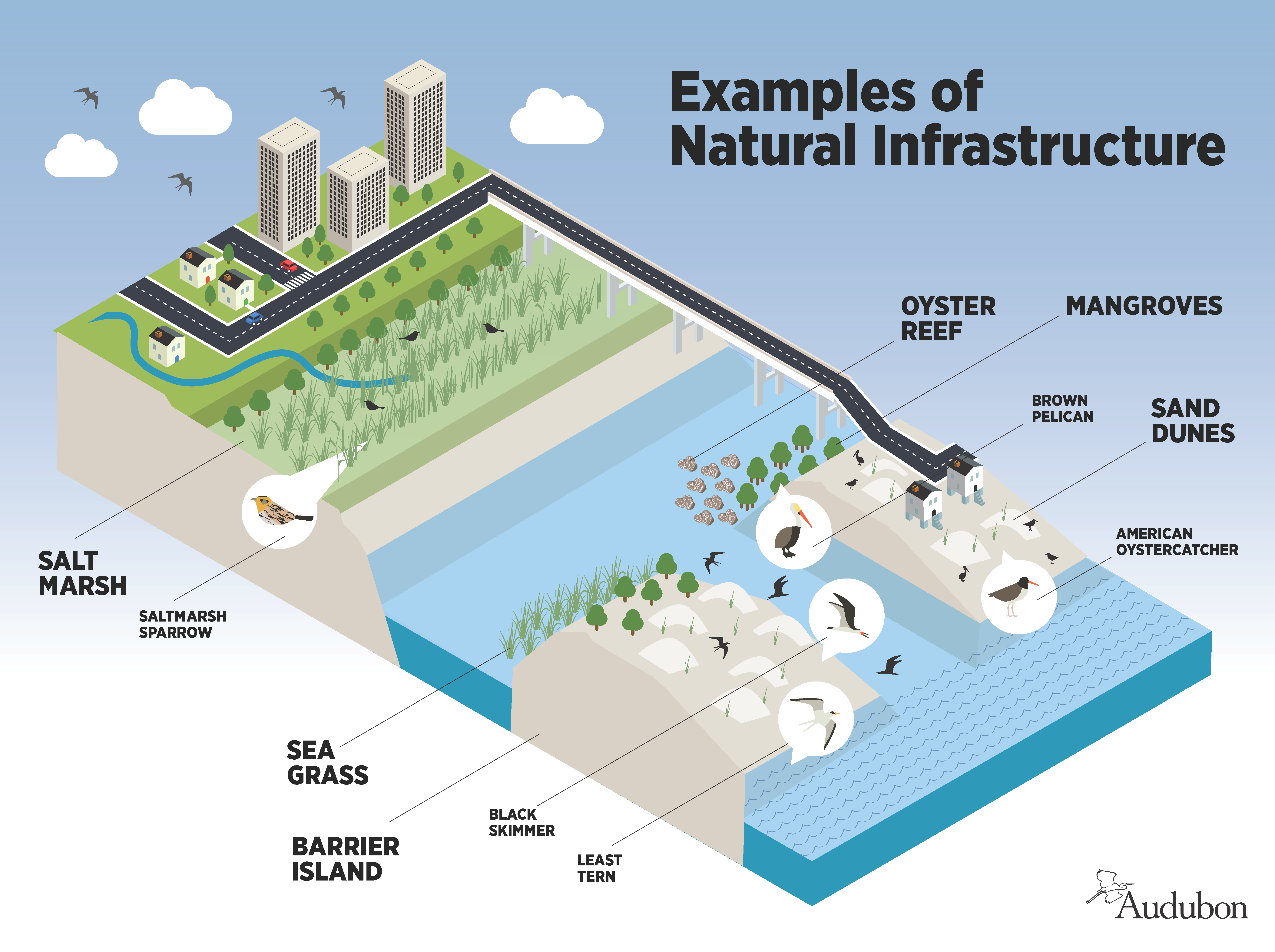 A Decisive Victory for the Most Important Coastal Law You’ve Never ...