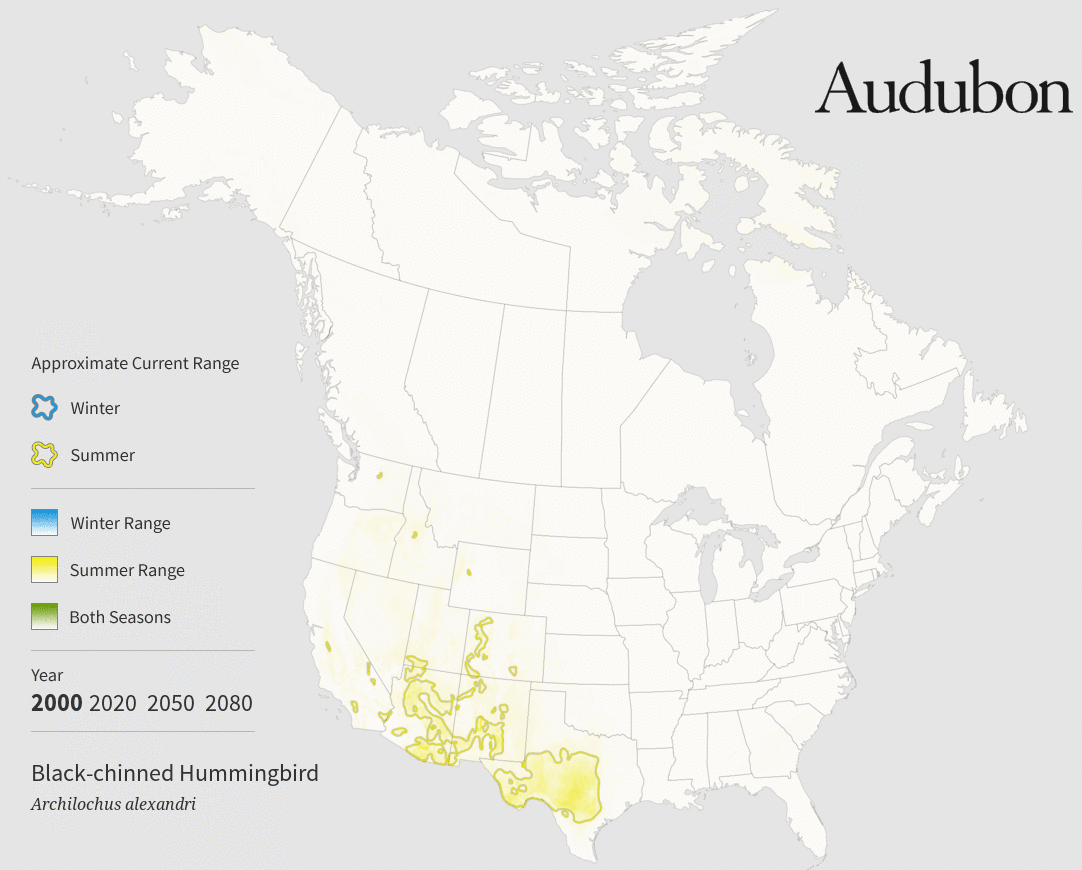 How Climate Change Threatens Hummingbirds | Audubon