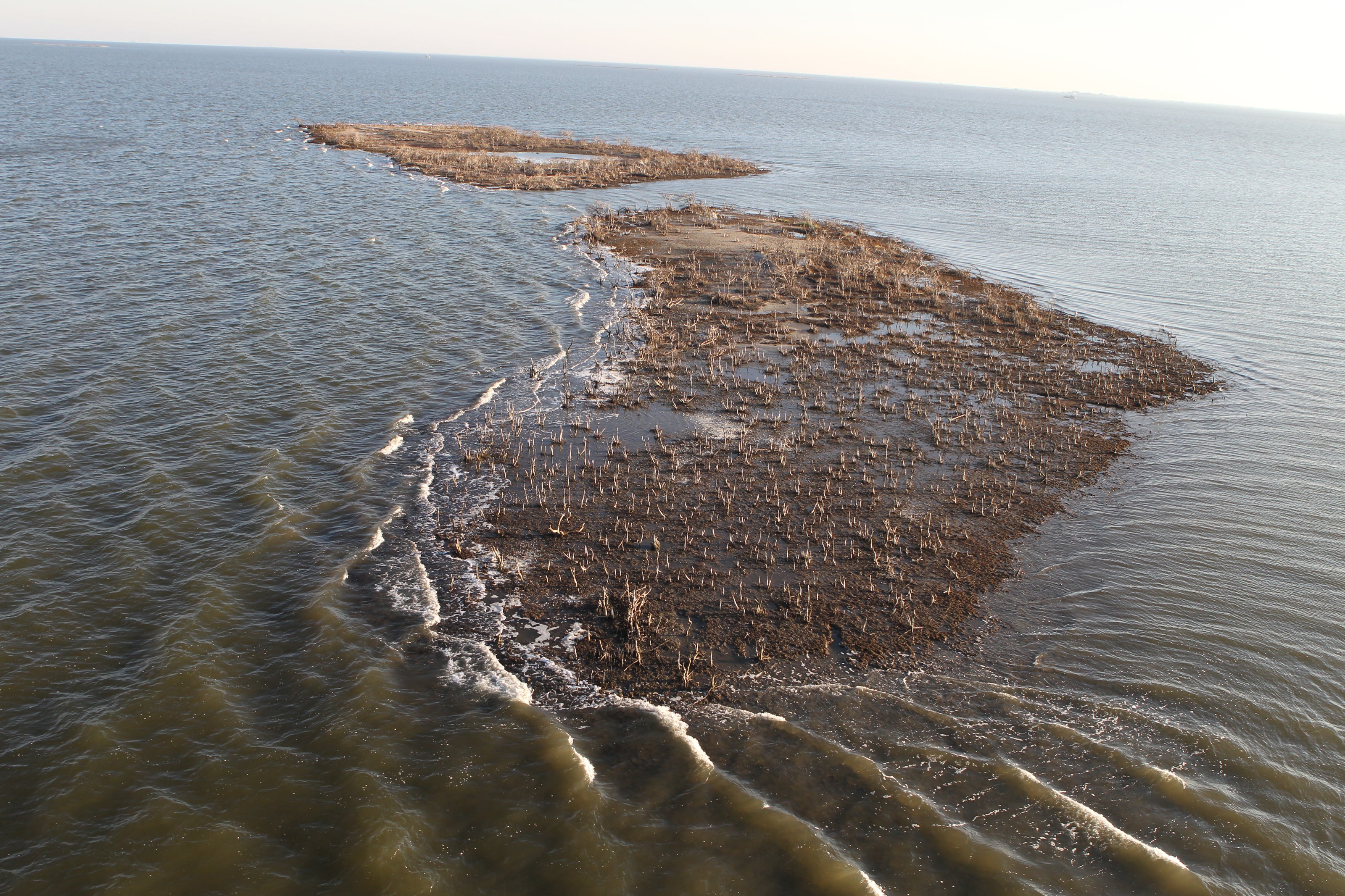 The Quest to Save a Pelican Rookery Decimated by Deepwater Horizon ...