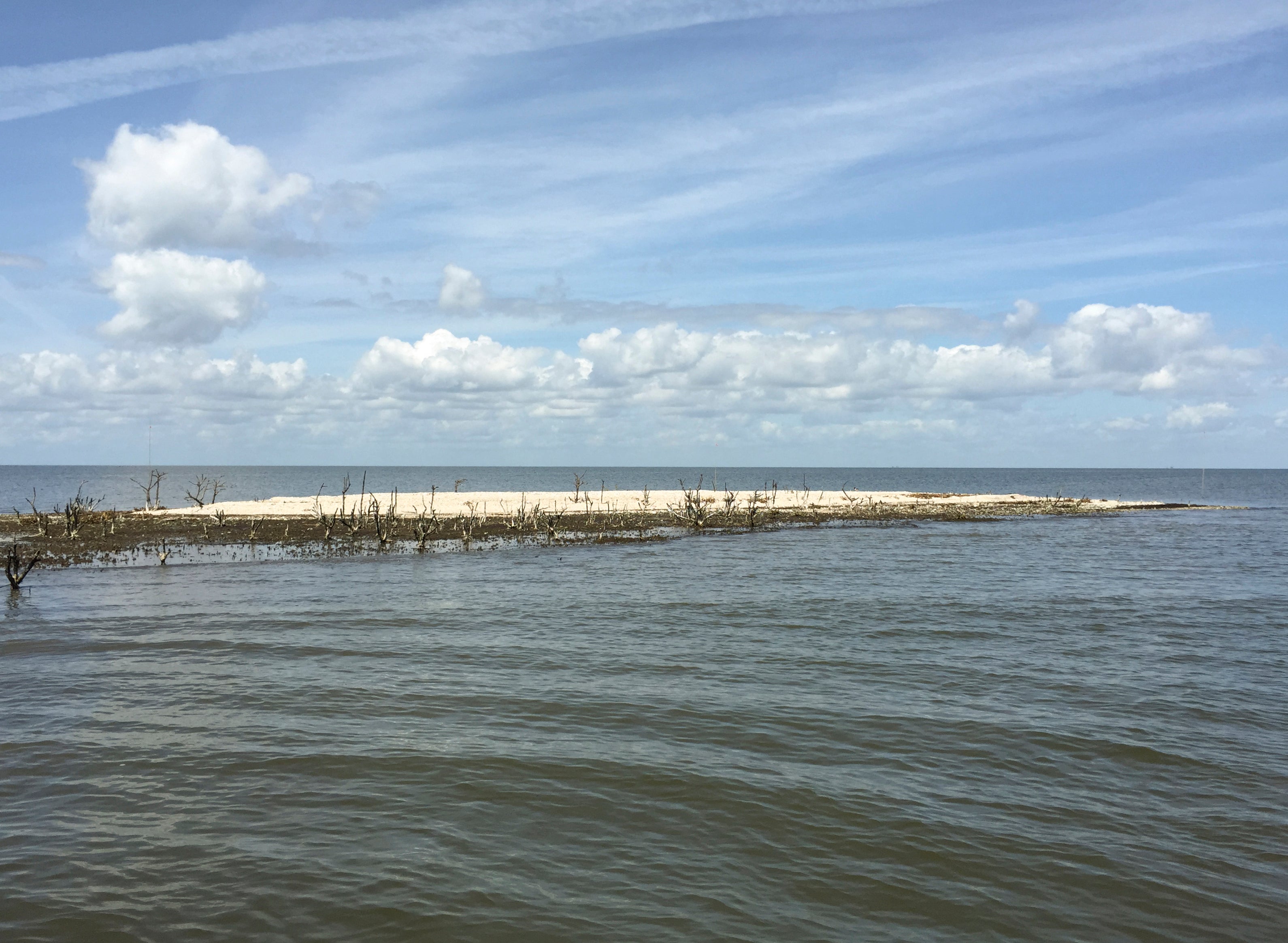 The Quest to Save a Pelican Rookery Decimated by Deepwater Horizon ...