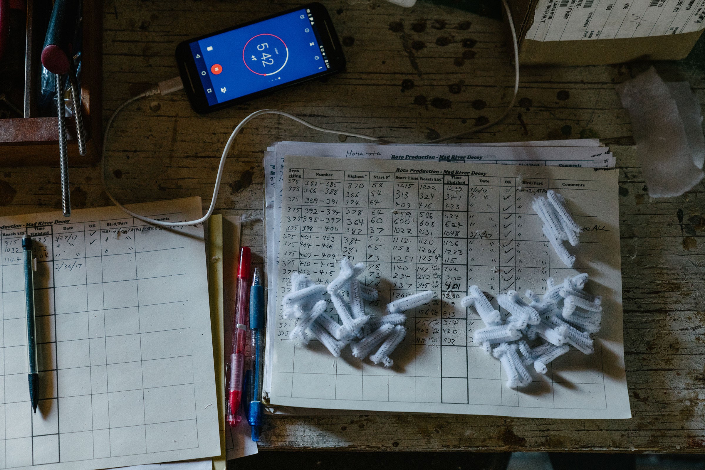 Inside Audubon’s New Decoy Workshop, Where Saving Seabirds Is the ...