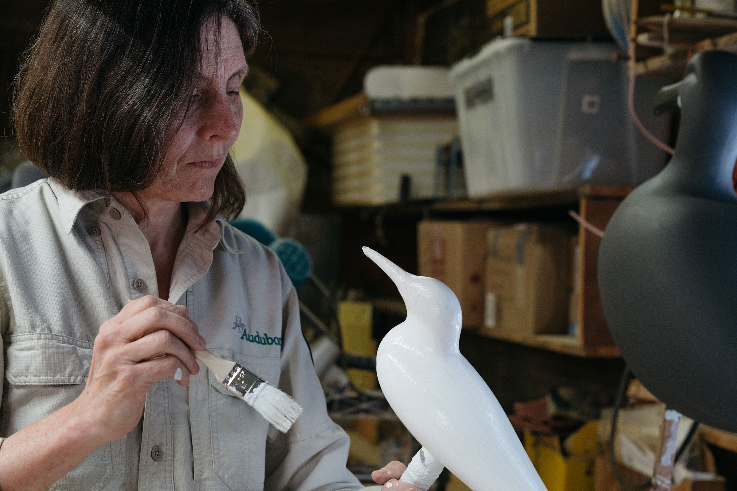 Inside Audubon’s New Decoy Workshop, Where Saving Seabirds Is the ...