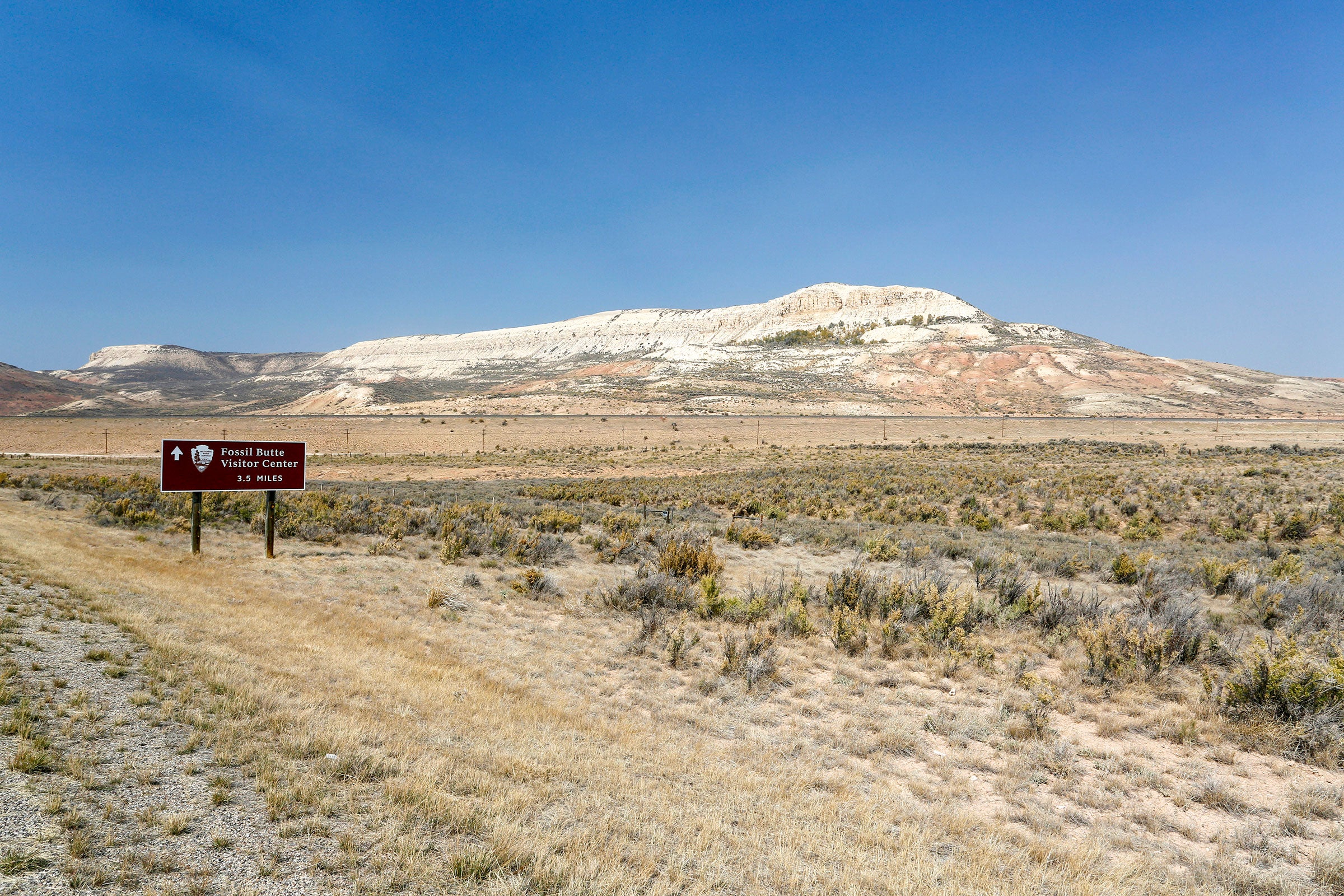 Paleontology and Private Fossil Collecting Can Be at Odds in the Hills ...