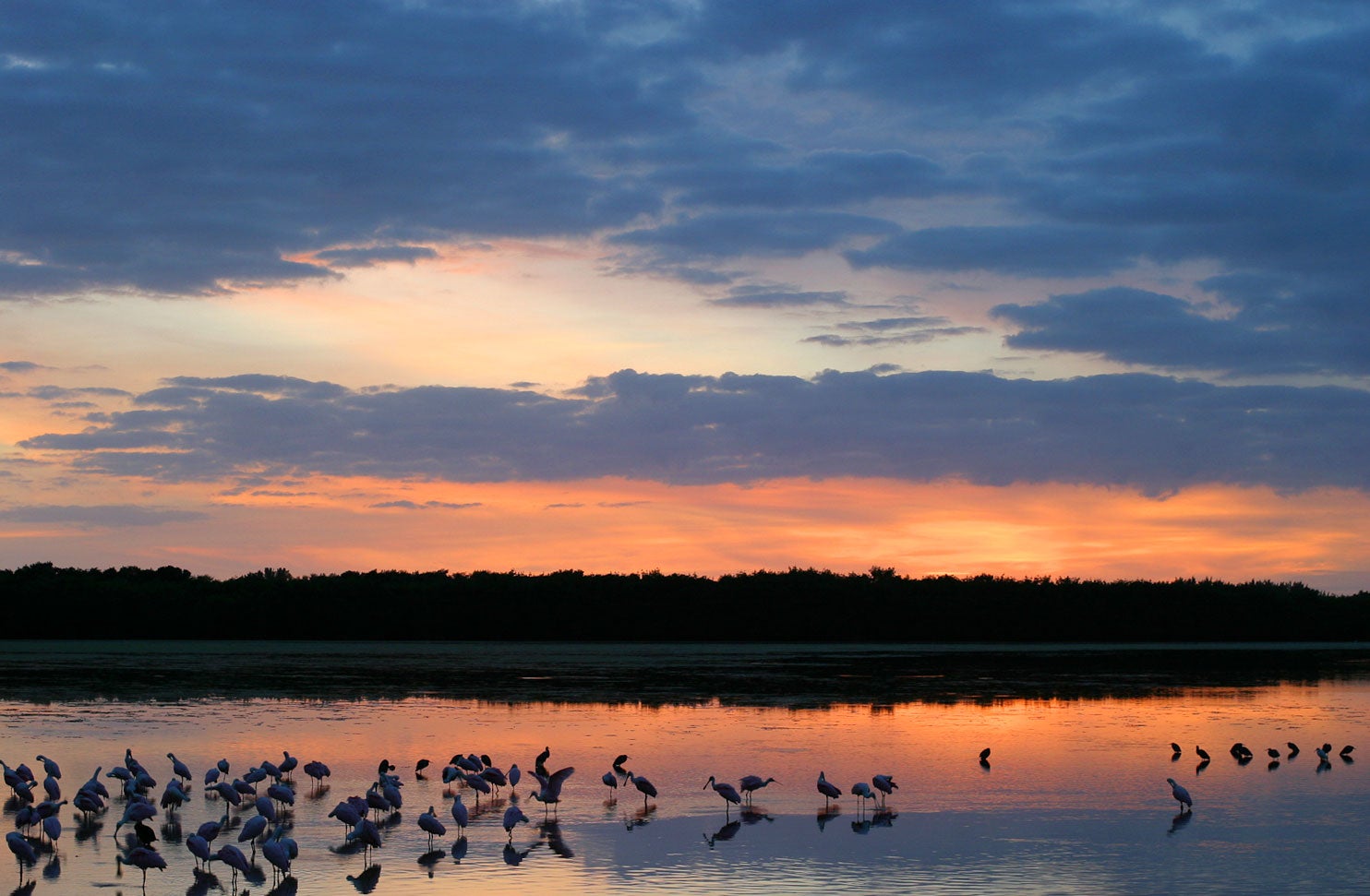 Seven Great National Wildlife Refuges Everyone Should Visit | Audubon ...