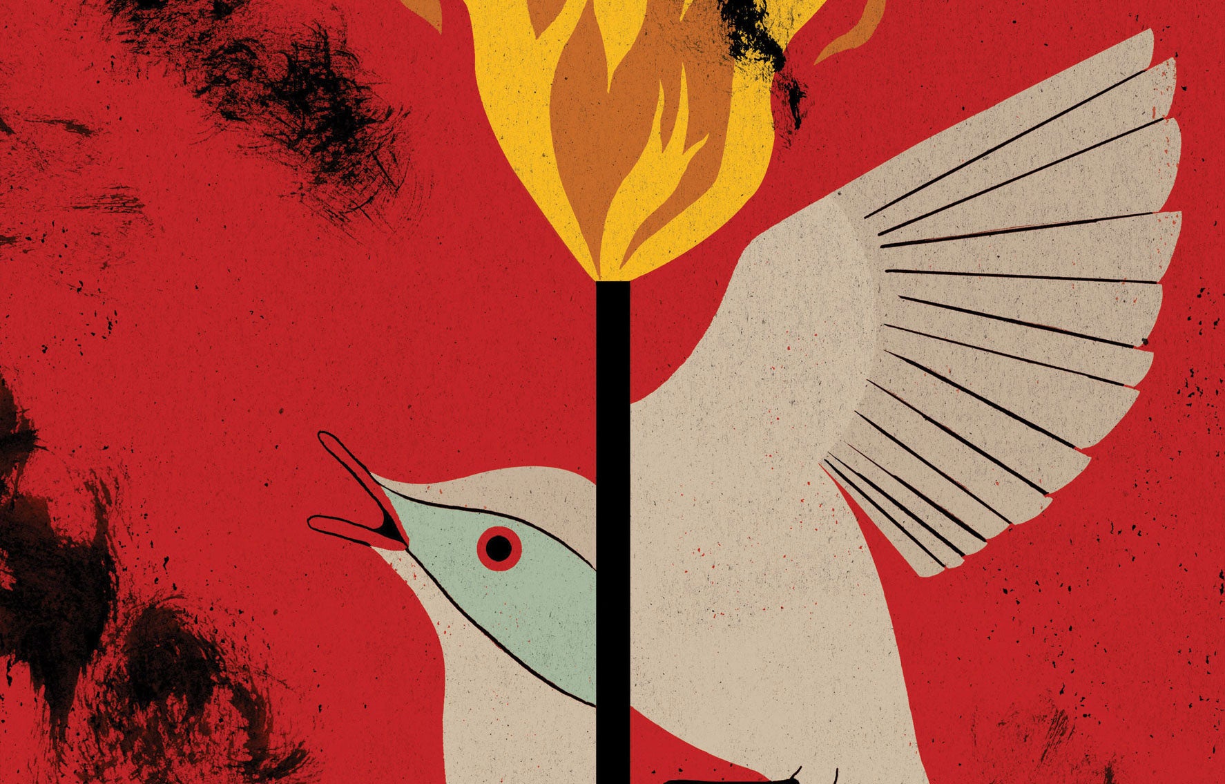 The Most Important Bird Law in the Country Needs an Overhaul | Audubon