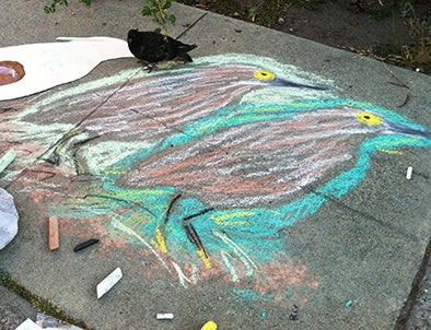 The Art of Waste Management | Audubon