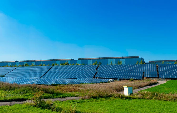 How to Get Solar Power Without Putting Panels on Your Roof | Audubon