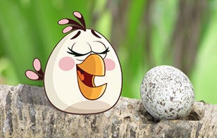 Restoring an Angry Bird Paradise | Audubon