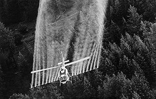 The Real Story Behind the War Against DDT | Audubon