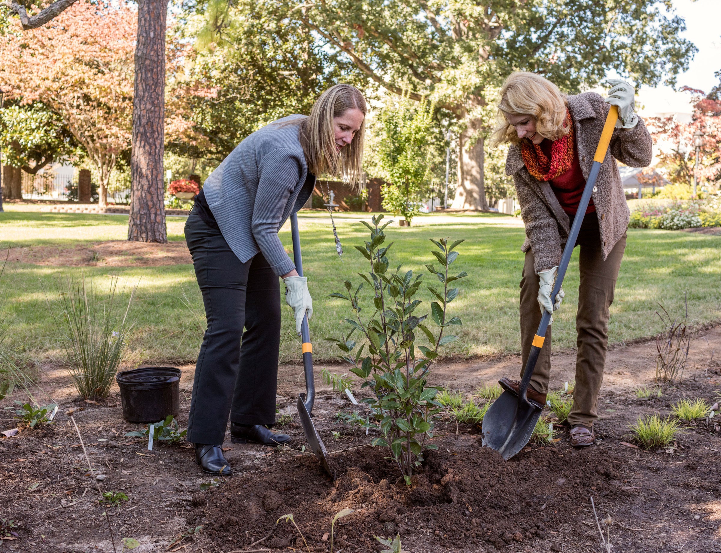 Joe Bargmann | Audubon