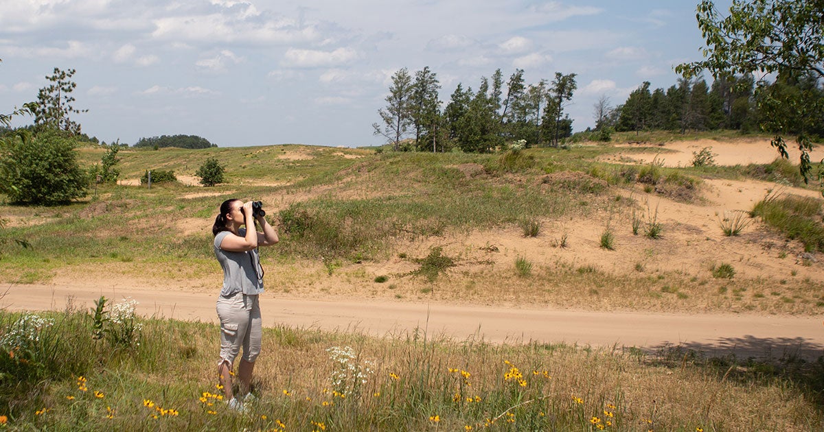 Birding Is the Perfect Activity While Practicing Social Distancing ...