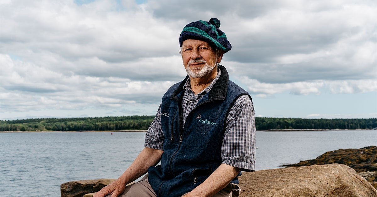 Steve Kress, the Trailblazer of Seabird Conservation, Proved All His ...