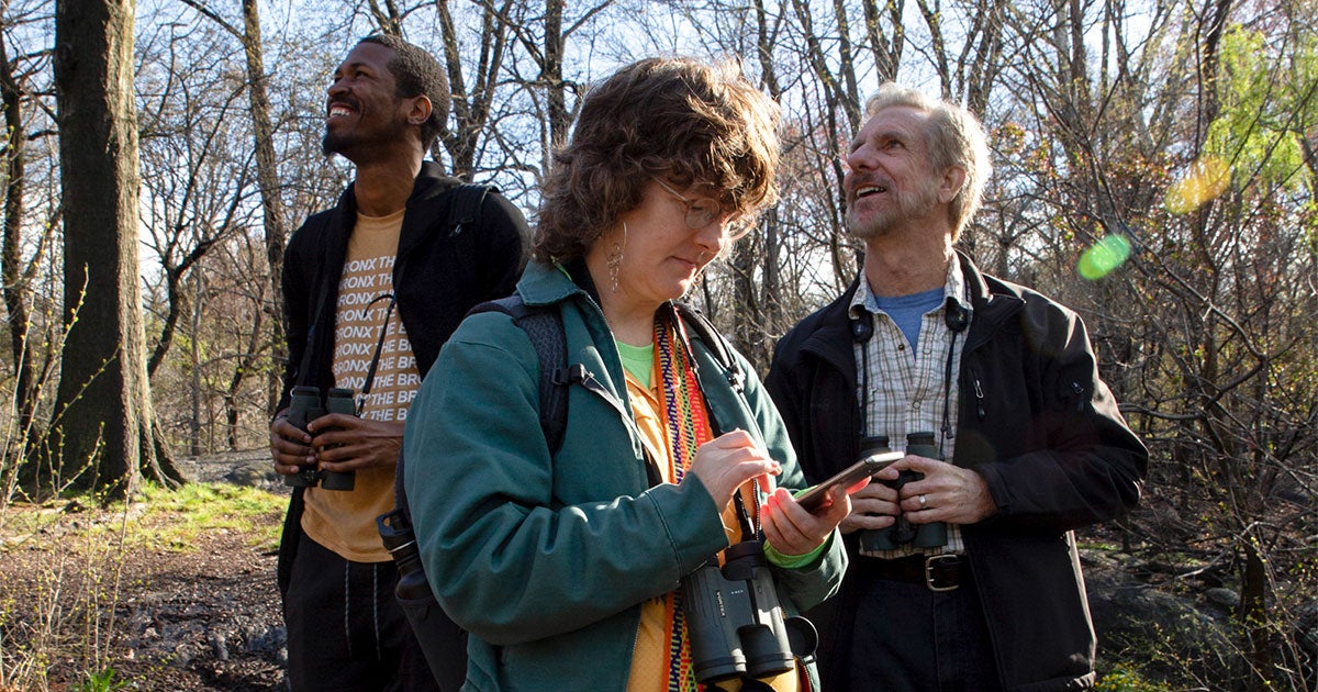 eBird Rolls Out Fun New Feature That Serves as a SparkNotes for Species ...