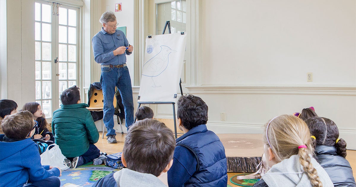 When David Sibley Is Your Art Teacher | Audubon