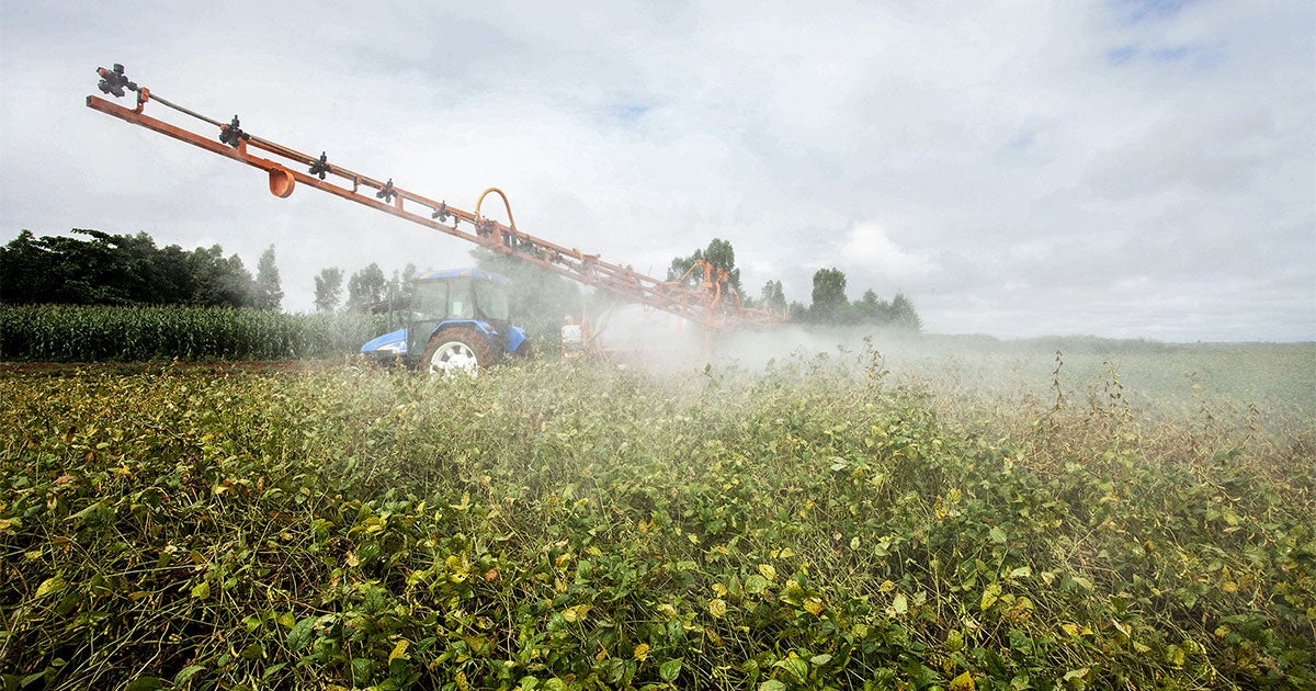 EPA Approval of Controversial Pesticide Raises Concerns for Bees and ...