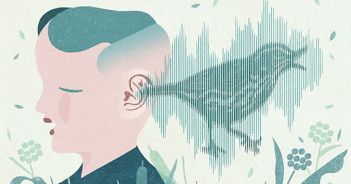 Birding Blind: Open Your Ears to the Amazing World of Bird Sounds | Audubon
